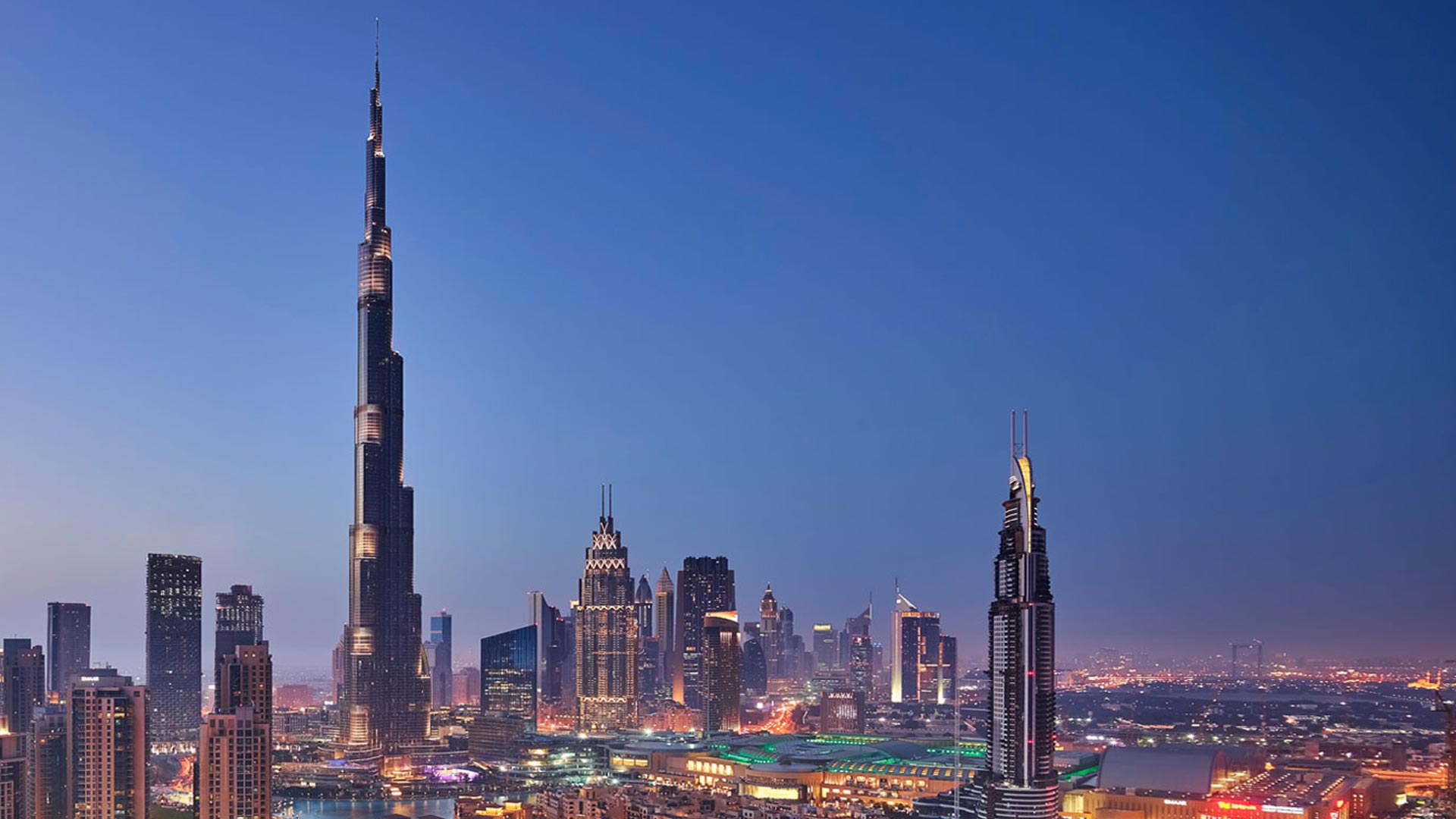 Home | Brainwave Science